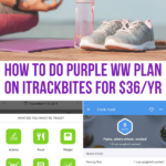 How Does iTrackBites Work?