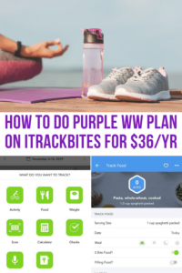 How to Do the WW Purple Plan on Healthi formerly iTrackbites - Smileys ...